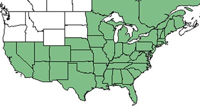 USDA Range Map_cardinal flower | Busy Bee Nursery and Consulting