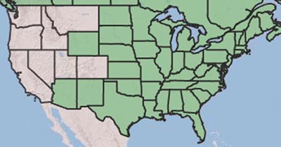 USDA Range Map_Virginia Wild Rye_USDA Plants Database | Busy Bee ...