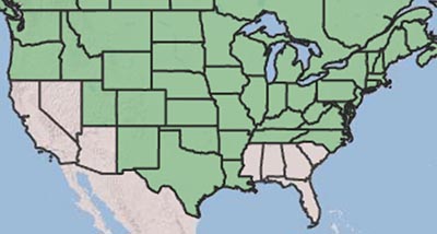 USDA Range Map_prairie cordgrass_USDA Plants Database | Busy Bee ...