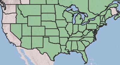 USDA Range Map_switchgrass_USDA Plants Database | Busy Bee Nursery and ...
